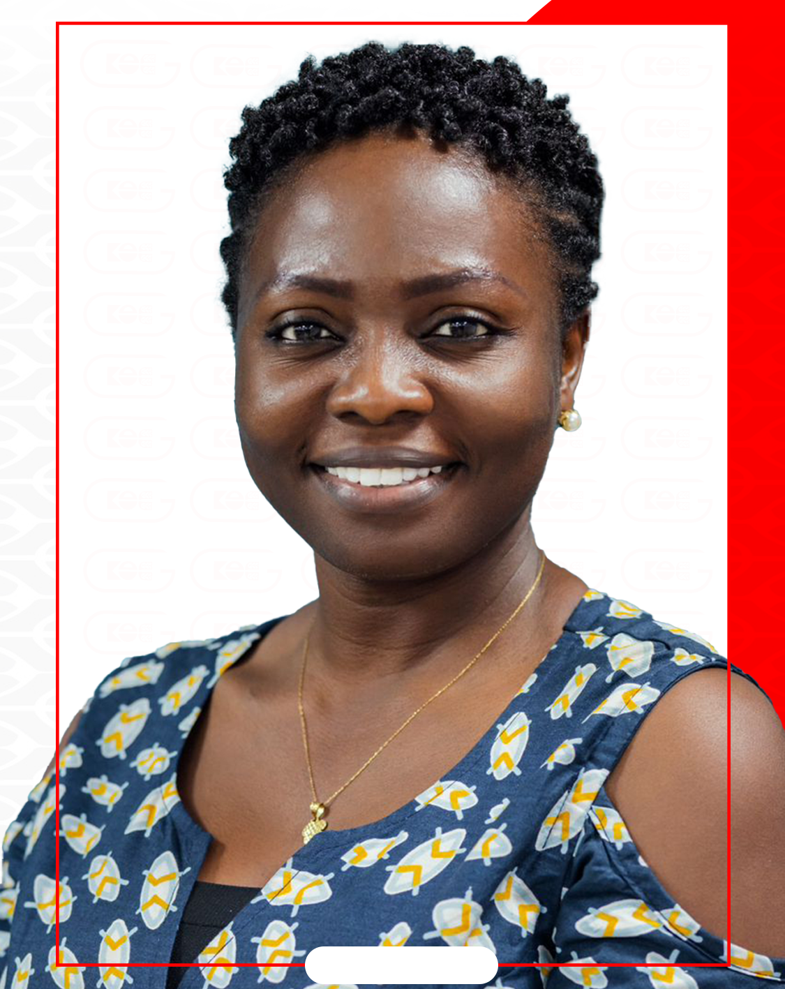 Instructional Design Team | Elearning, KNUST